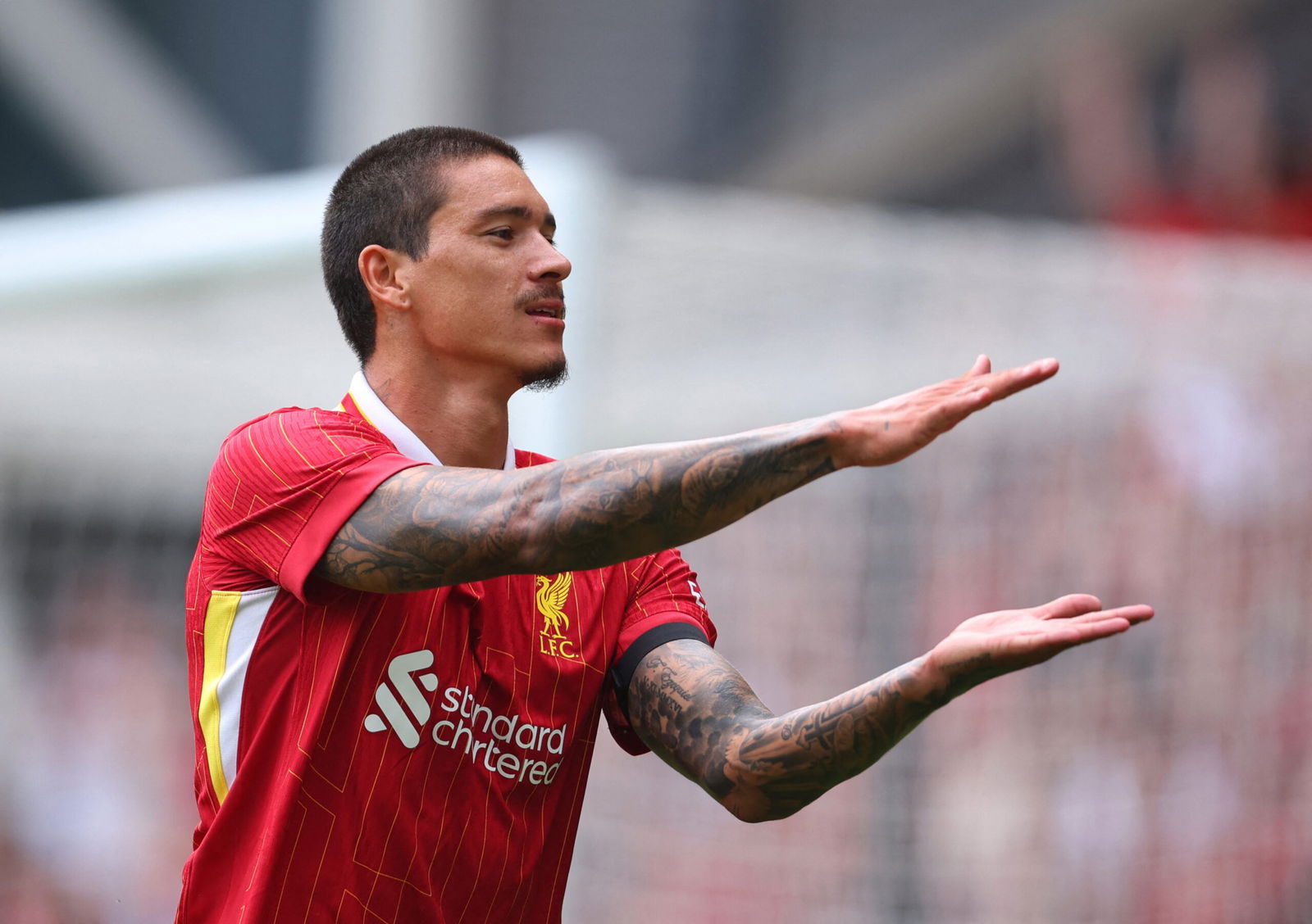 Liverpool News: Promising Paul Joyce update | live4liverpool.com